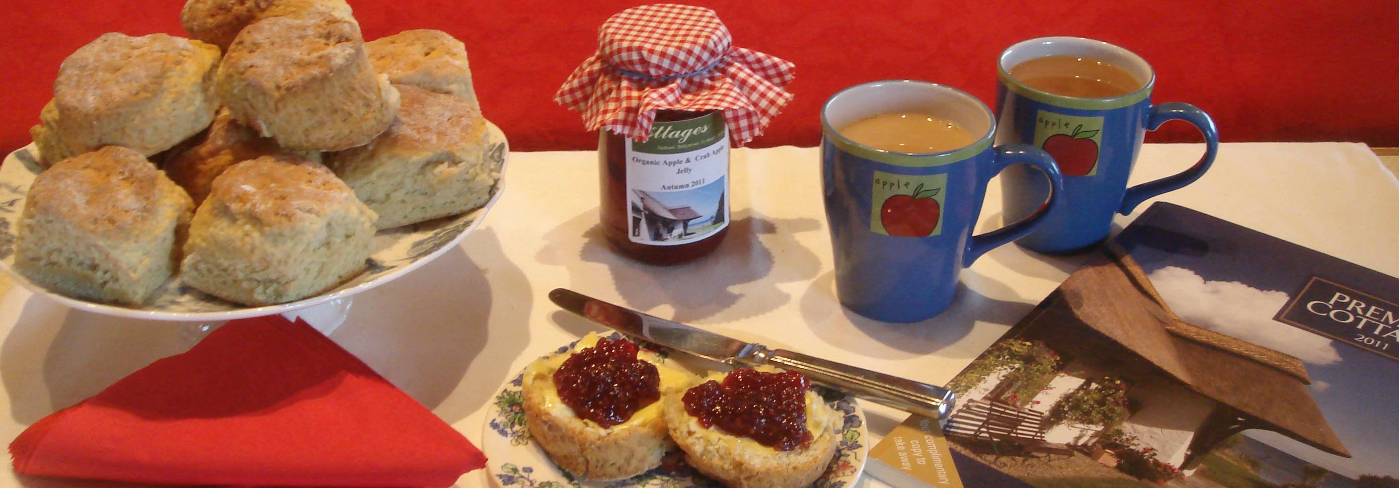 Holiday Cooking at the Cottages Ireland | Luxury Cottages in Ireland